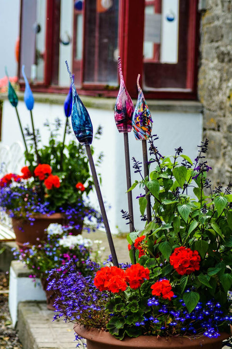 A Touch of Colour to Your Garden | Jerpoint Glass